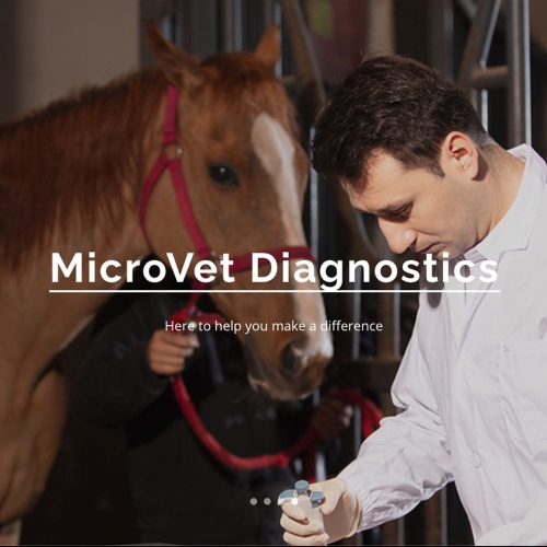 MicroVet Diagnostics | IDEXX Software